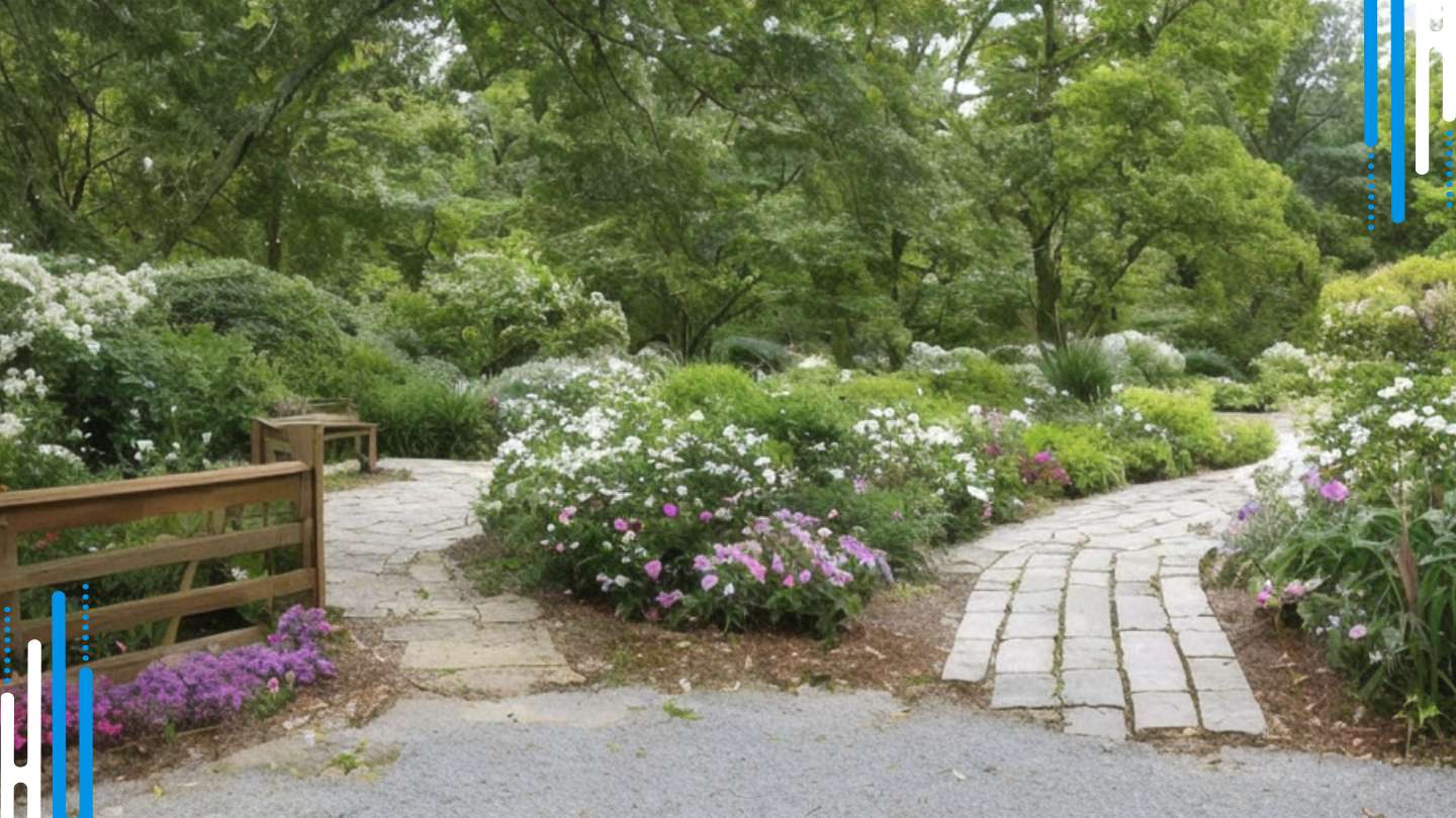 Gradual Goodbye: A Safe Lyrica Tapering Guide - BenzoDoc